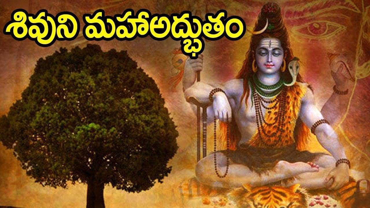 Miracle of lord Shiva in real life || Interesting Facts | The Extra ...