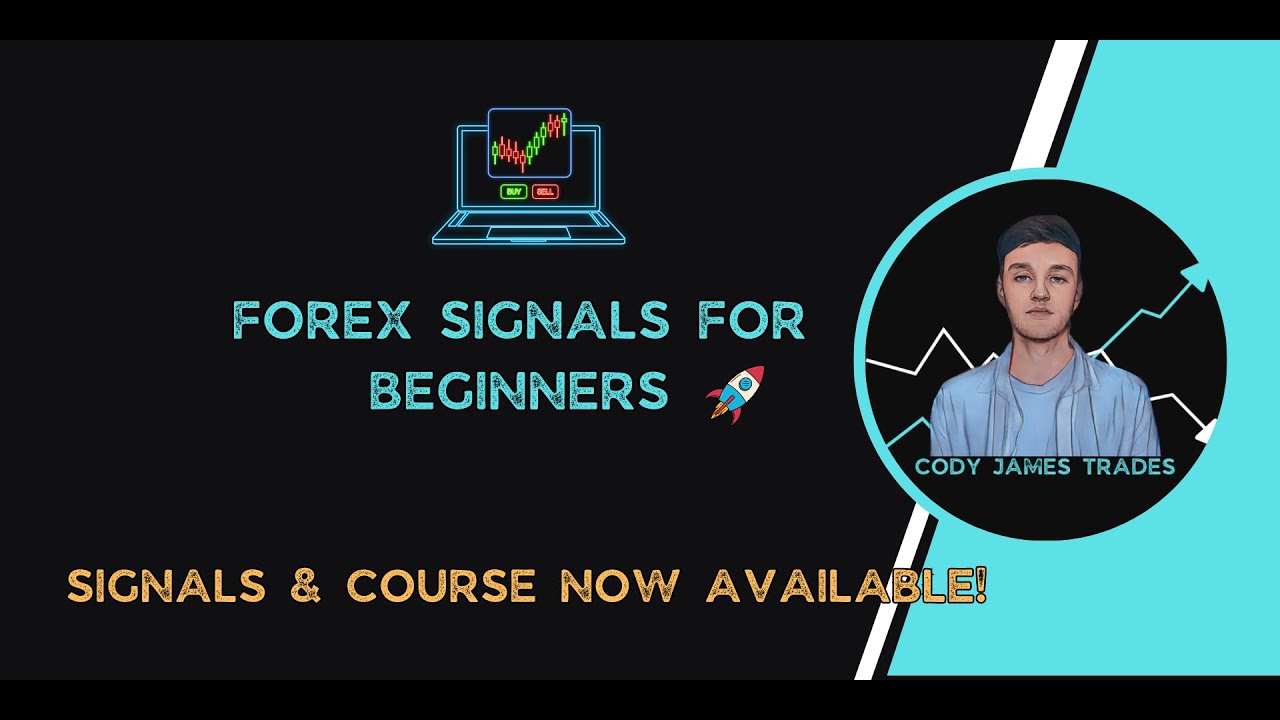 Forex Signals For Beginners 🚀 #forexsignals - YouTube