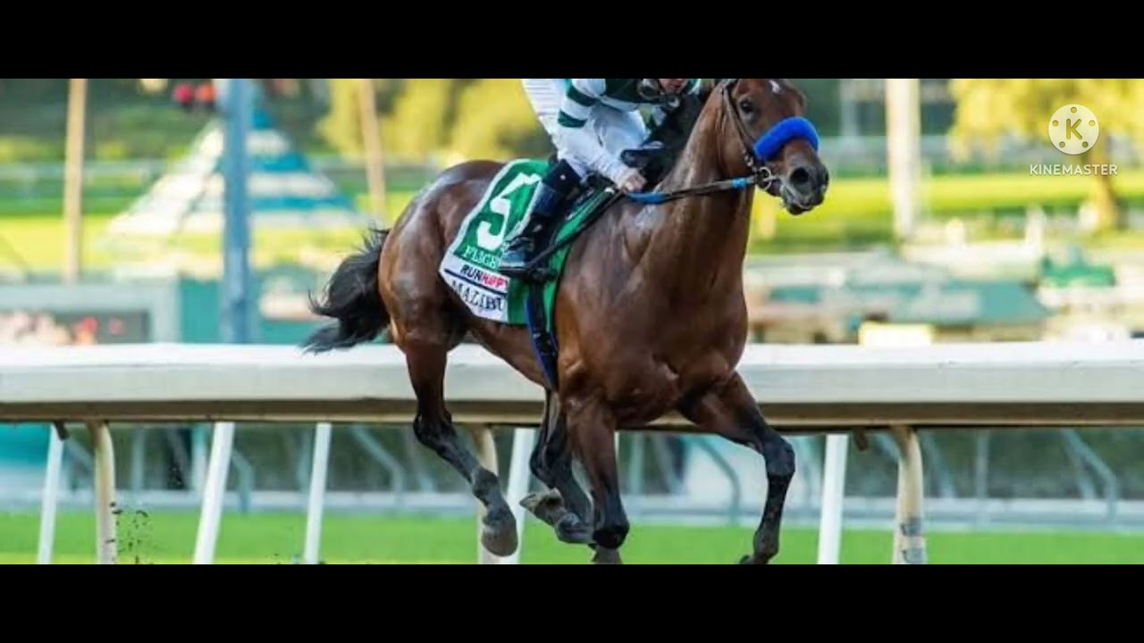 metro turf racing tips today June,92022 | tips analysis today ni ...