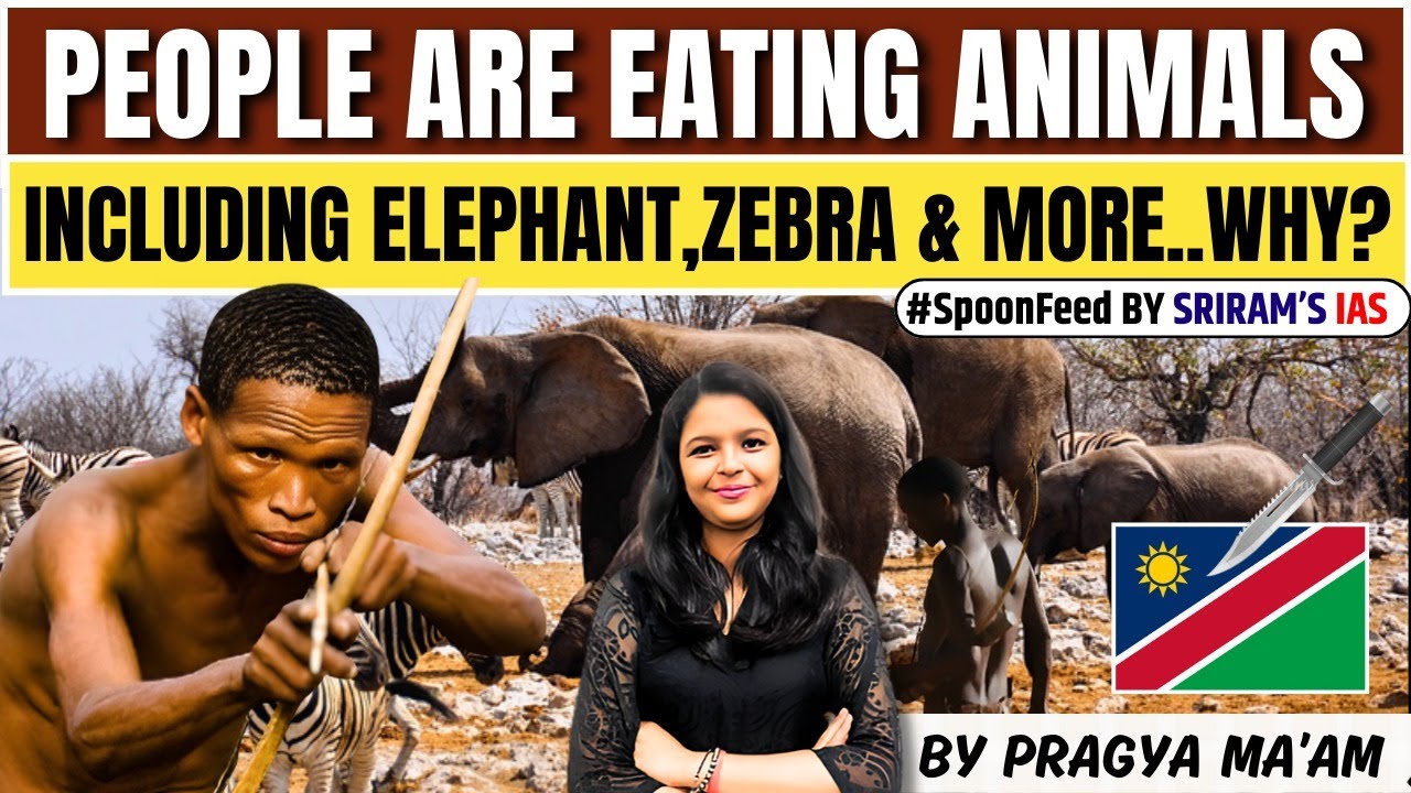 Namibia Food Crisis : Why is Namibia to Cull over 700 wild animals ...