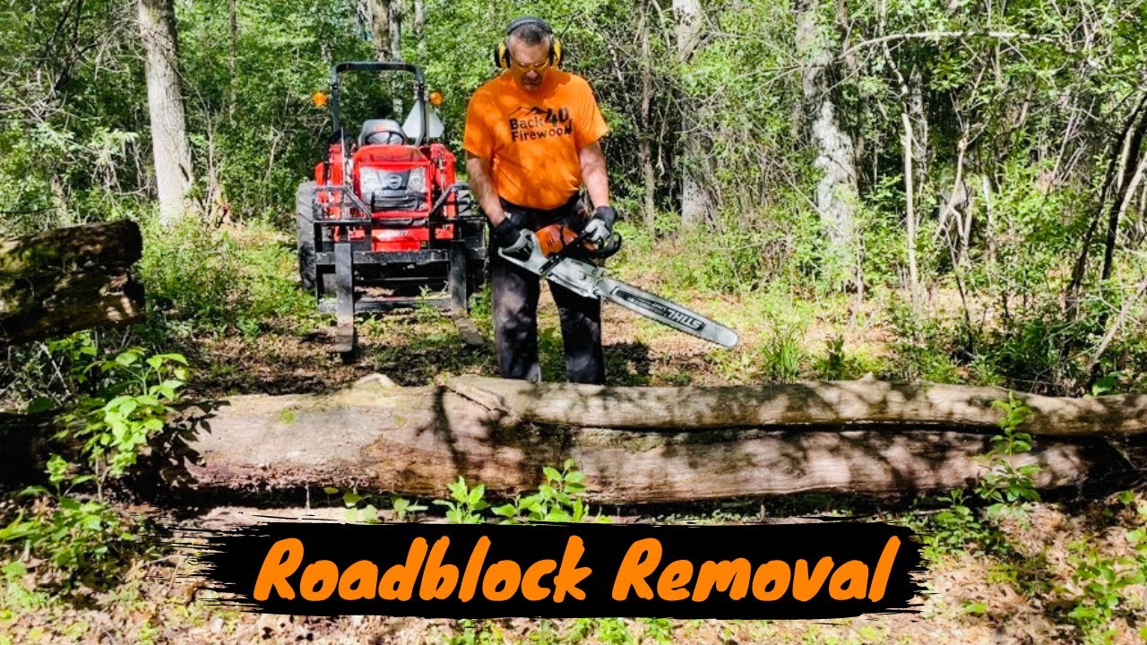 Roadblock Removal - Clearing Down Tree from Trail with Stihl MS 500i ...