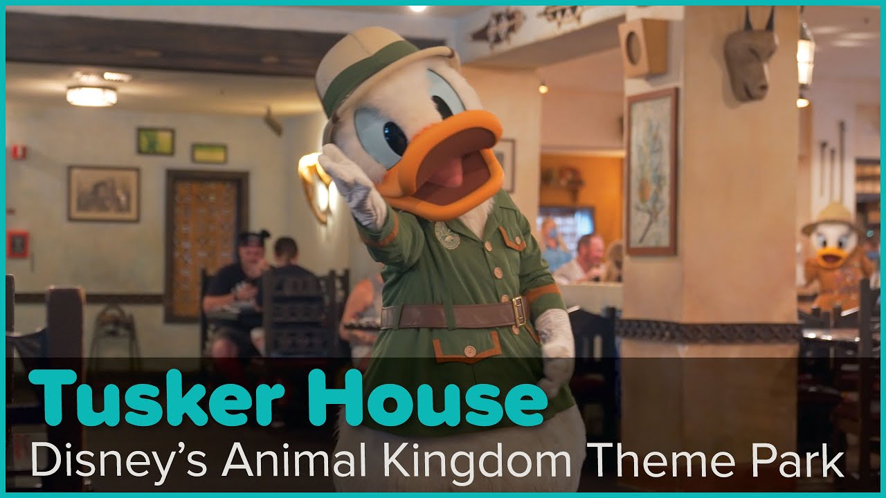 Tusker House Character Dining Reopens at Disney’s Animal Kingdom - YouTube