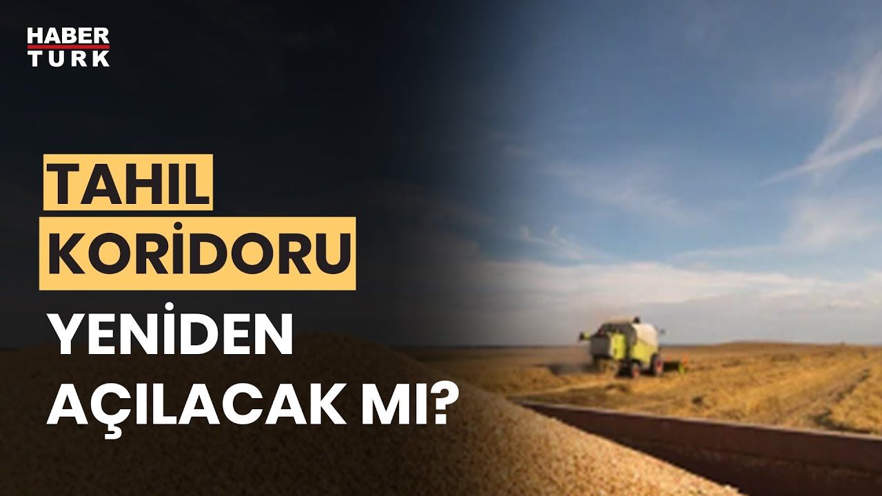 Erdoğan, Putin'i ikna edecek mi? Dr. Naim Babüroğlu ve Çetiner Çetin ...