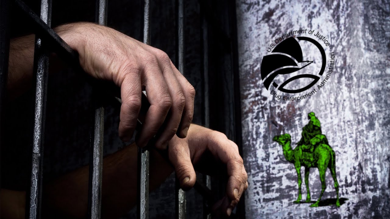 DEA Who Went Trainng Day During Silk Road Investigation Sentenced - YouTube