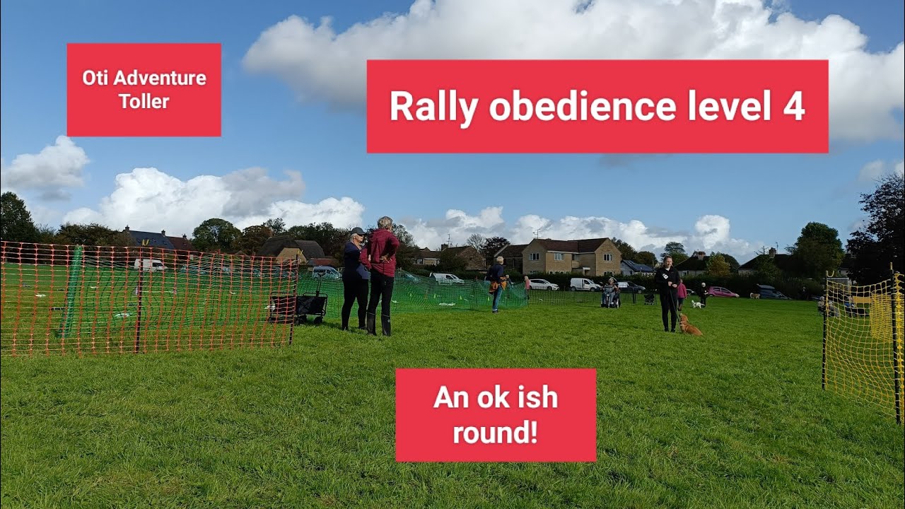 Oti's level 4 Rally obedience round today. - YouTube