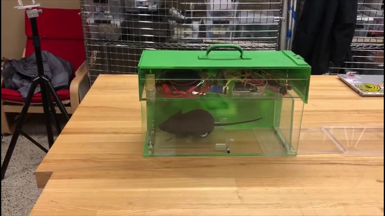 Smart Rodent Trap Demo - YouTube