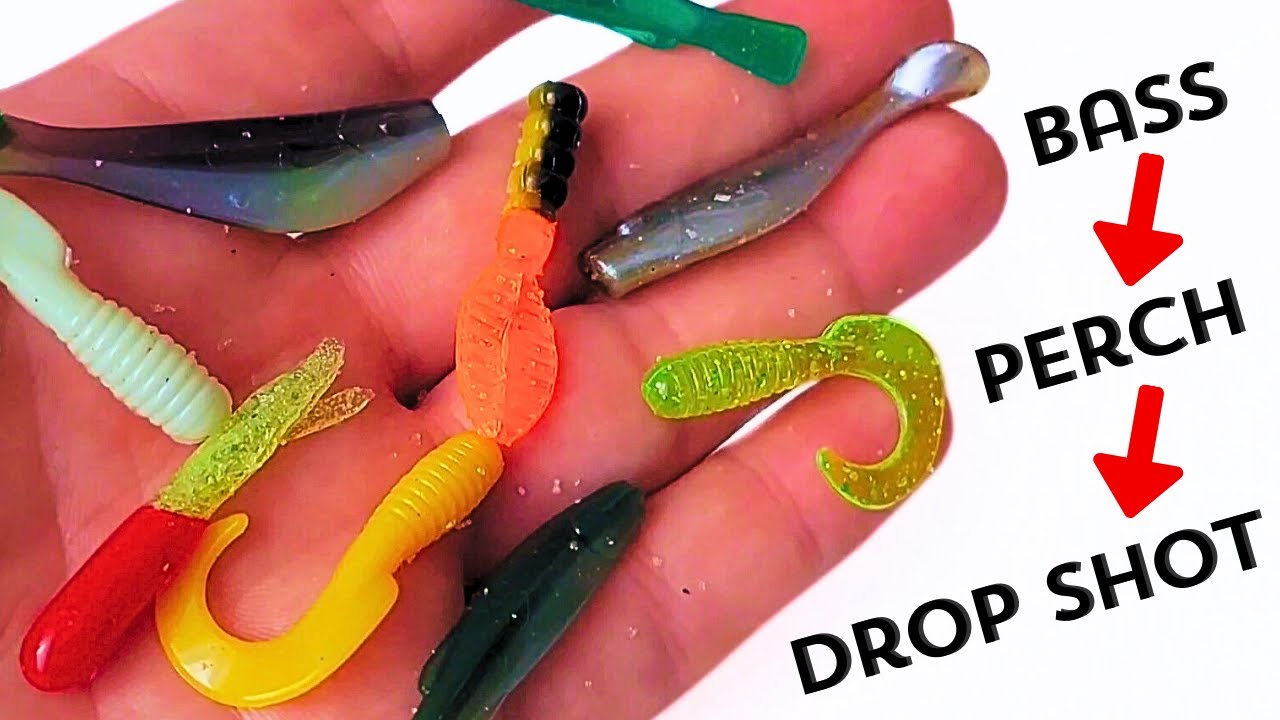 Drop Shot Rig Setup: The Best Way for Catching Bass - SOFT LURE FISHING ...