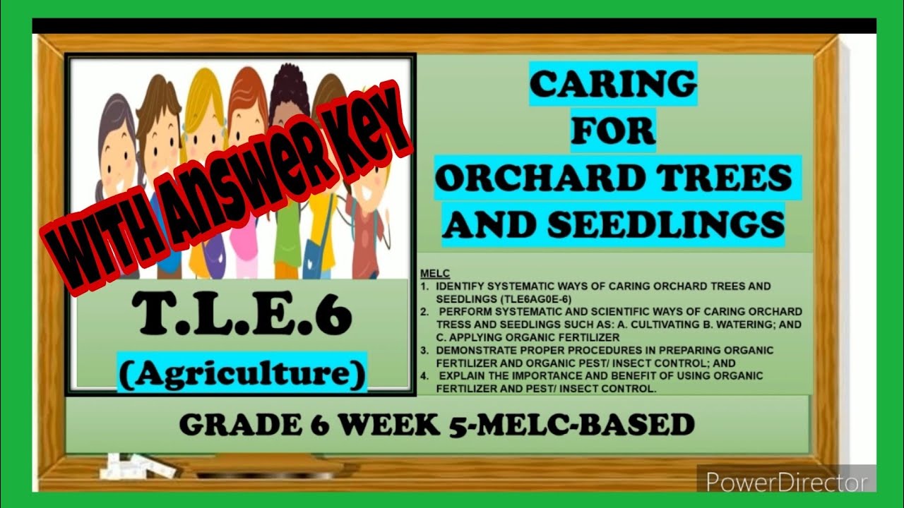 TLE 6 WEEK 5 AGRICULTURE CARING FOR ORCHARD TREES AND SEEDLINGS tle-6-week-5-agriculture-caring-for-orchard-trees-and-seedlings