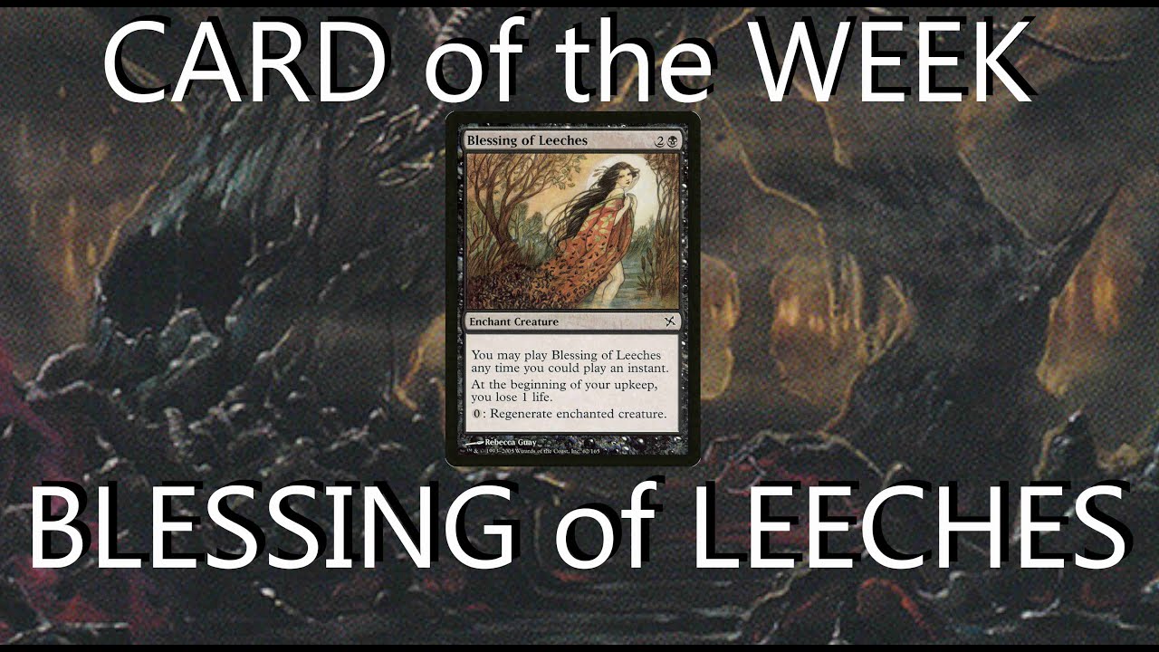 Card of the Week: Blessing of Leeches - YouTube