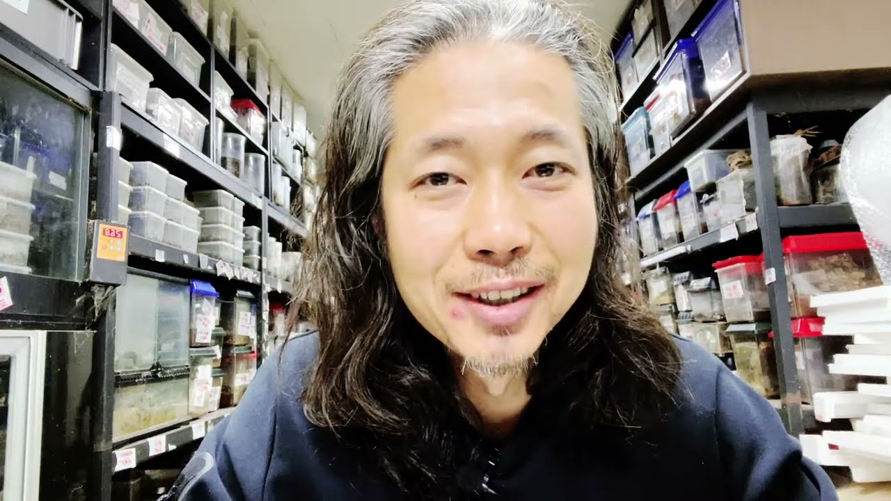 Repta 라이브 방송 - YouTube