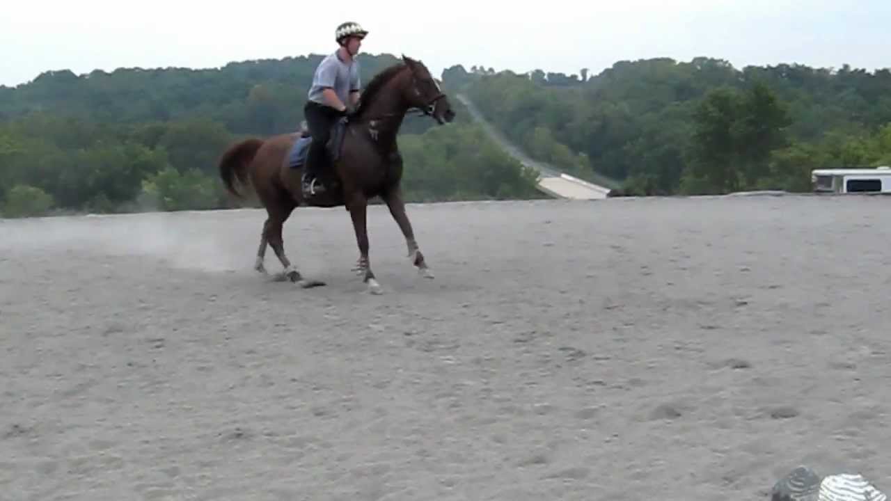 Bernie flying changes - YouTube