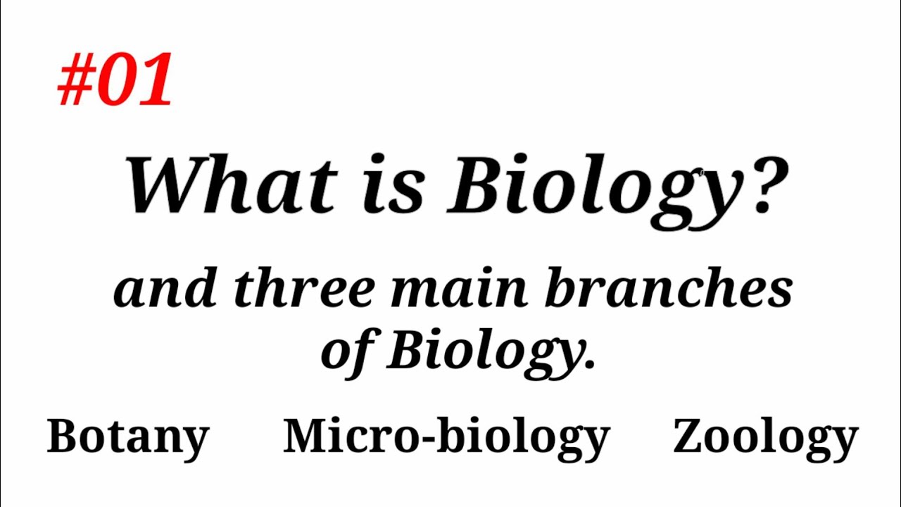 What Is Biology And Its Types Zoology Botany Microbiology YouTube What Is Biology And Its Types Zoology Botany Microbiology YouTube