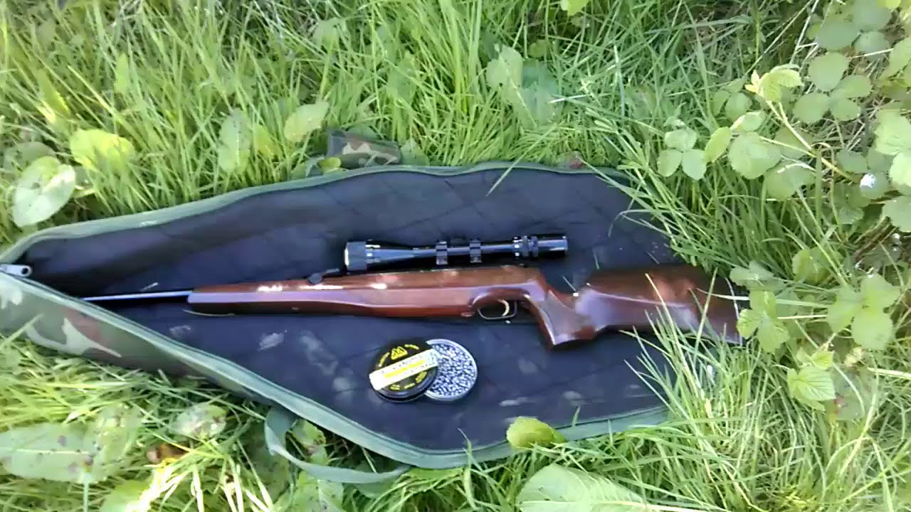 Exploding bunny - YouTube