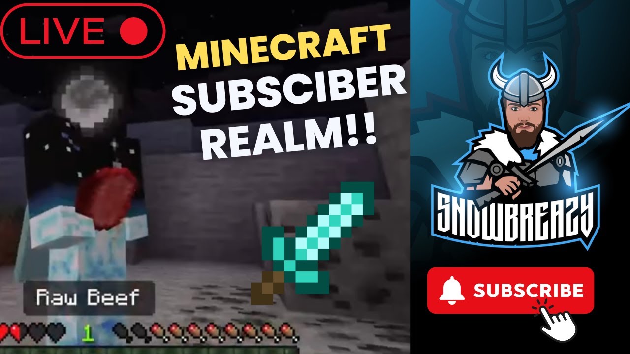 minecraft subscriber realm! - YouTube