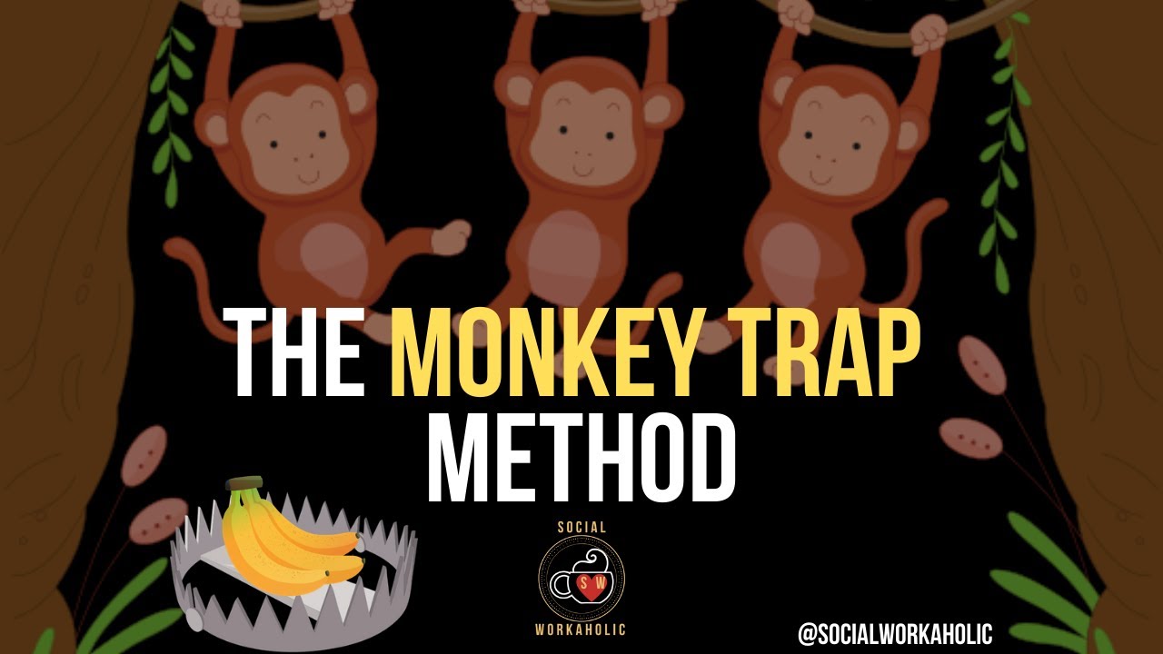 The Monkey Trap Method | Socialworkaholic - YouTube