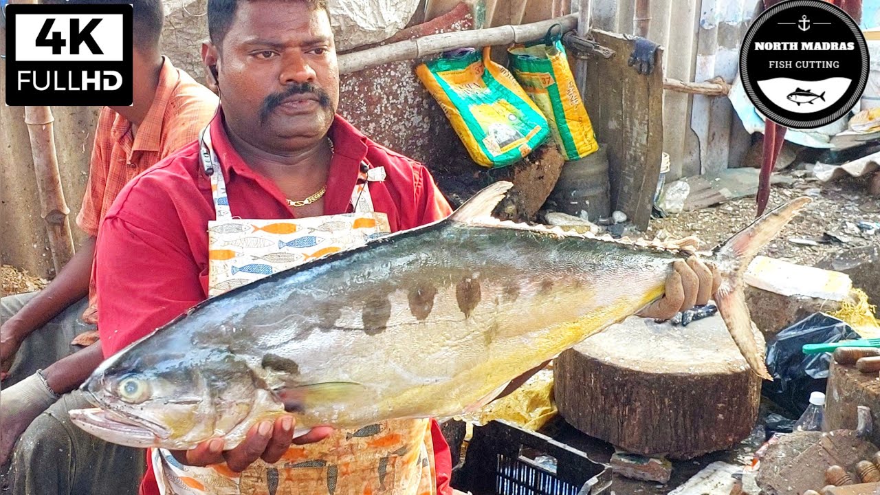 THOL PAARAI FISH|KASIMEDU 🔥SPEED SELVAM|FINGER FISH|CUTTING SKILLS|IN ...