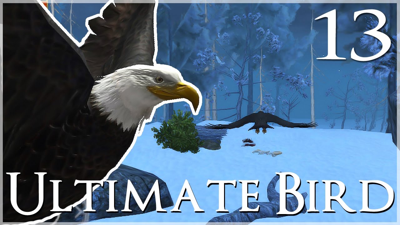 The Wilds of Winter Island!! 🐦 Ultimate Bird Simulator - Episode #13 ...