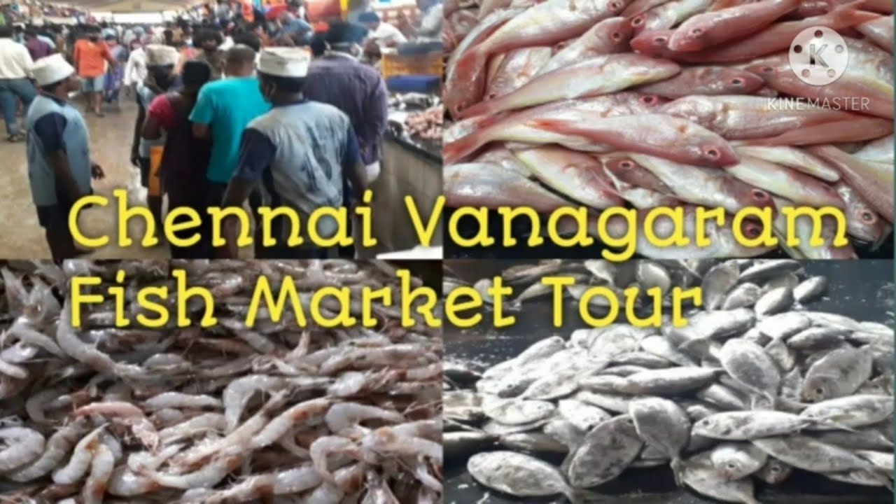 Chennai vanagaram meen (Fish) market vlogs | fish market | vanagaram ...