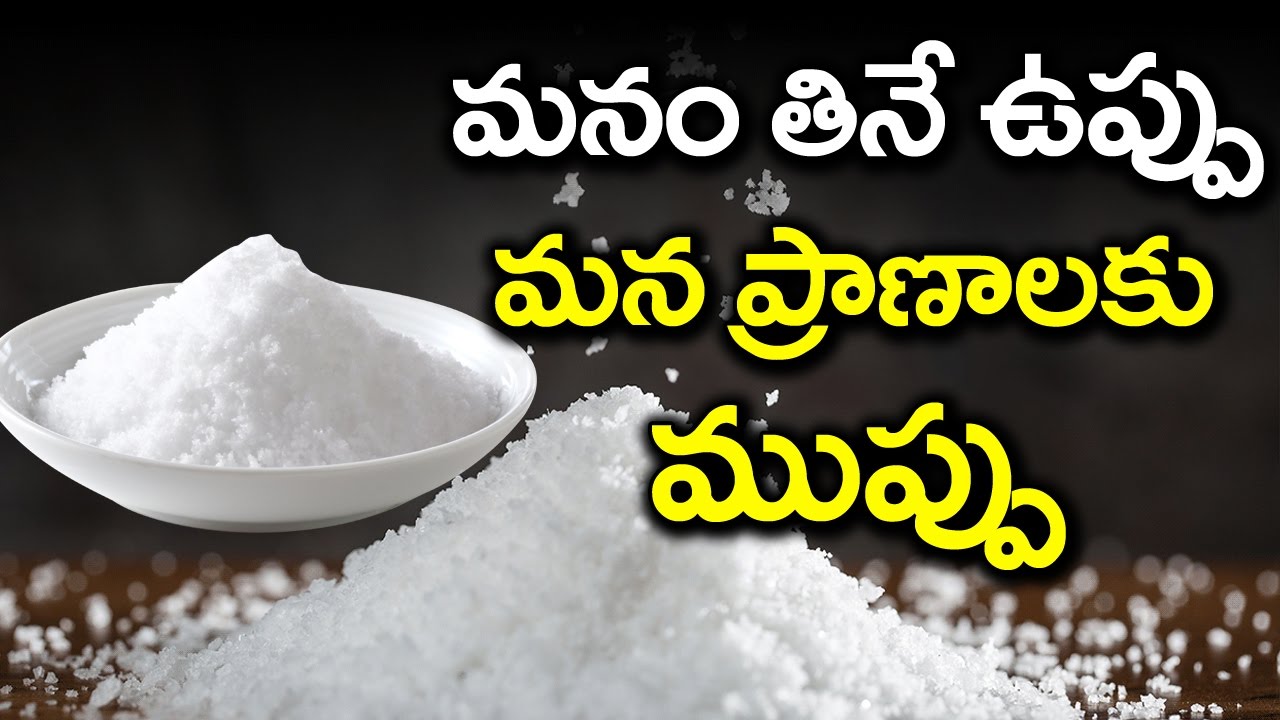 OMG! SALT Effects | Disadvantages of Having SALT | Health Safety Tips ...