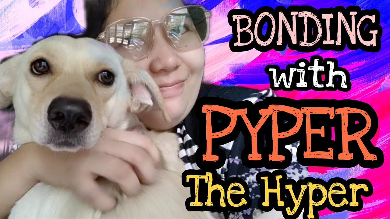 BONDING WITH PYPER THE HYPER | VLOG 7 #GOLDADOR #BjaneVee - YouTube