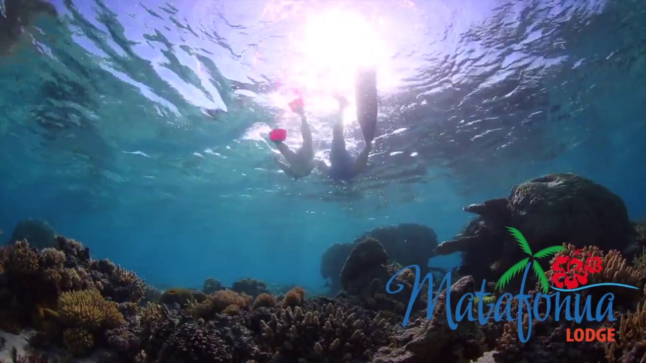 Tongas top snorkeling Matafonua Lagoon Ha'apai Tonga - YouTube