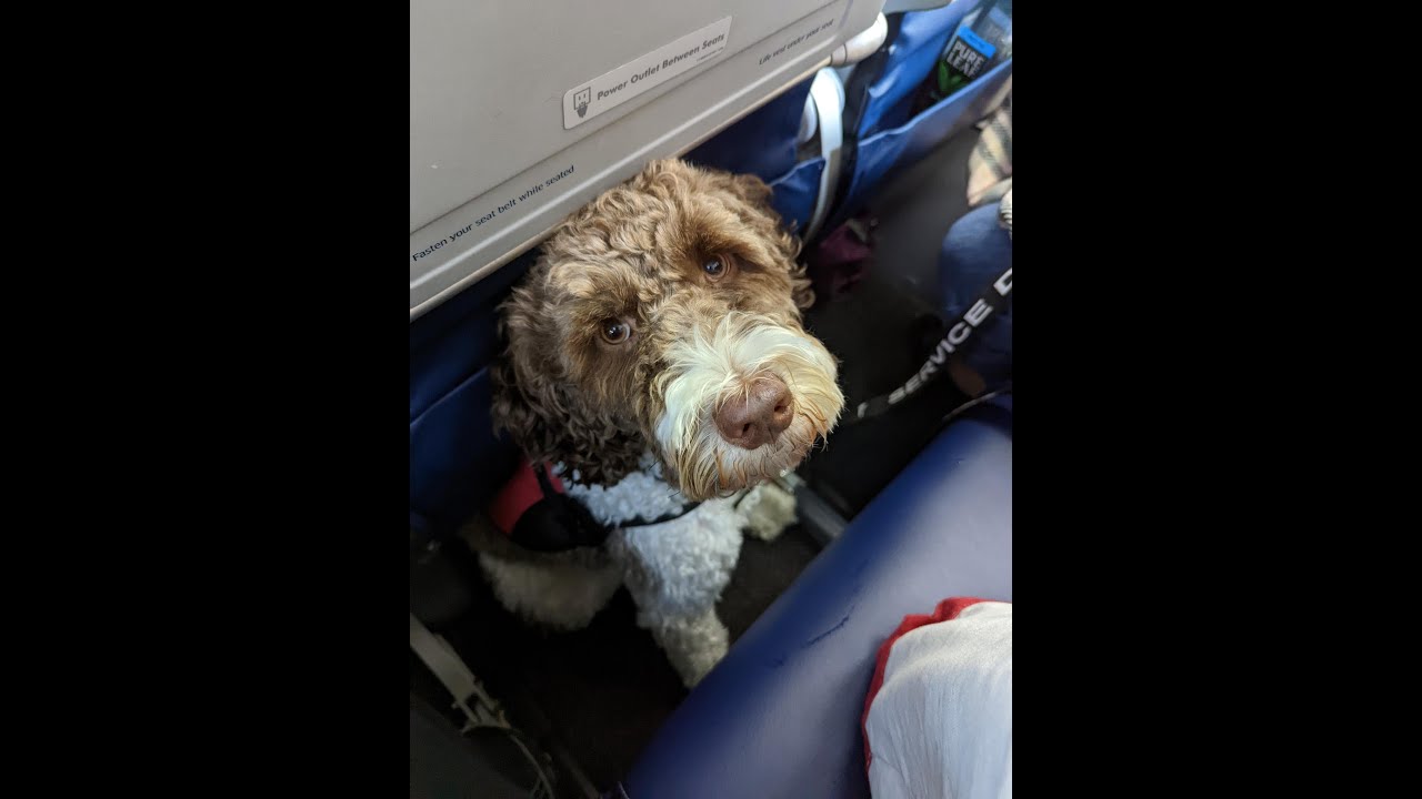 My Unexpected Seat Mate — And What We Learned Together - YouTube