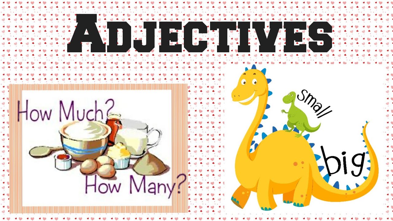 Adjectives: Introduction & How Much vs How Many - YouTube