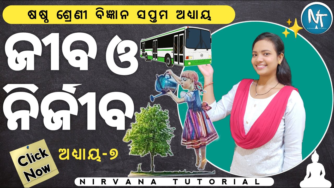 Odia Medium Class 6 Science Chapter 7 Jiba O Nirjiba ll ବିଜ୍ଞାନ - ଜୀବ ଓ ...
