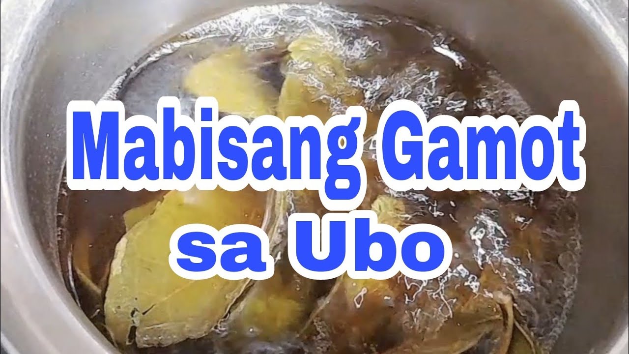 Herbal ang mabisang gamot sa Ubo Tuyong dahon ng bayabas/Xandra D.Vlogs ...