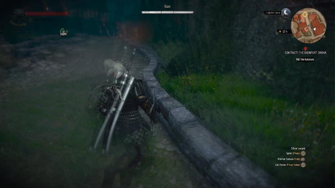 The Witcher 3: Wild Hunt stupid guard - YouTube