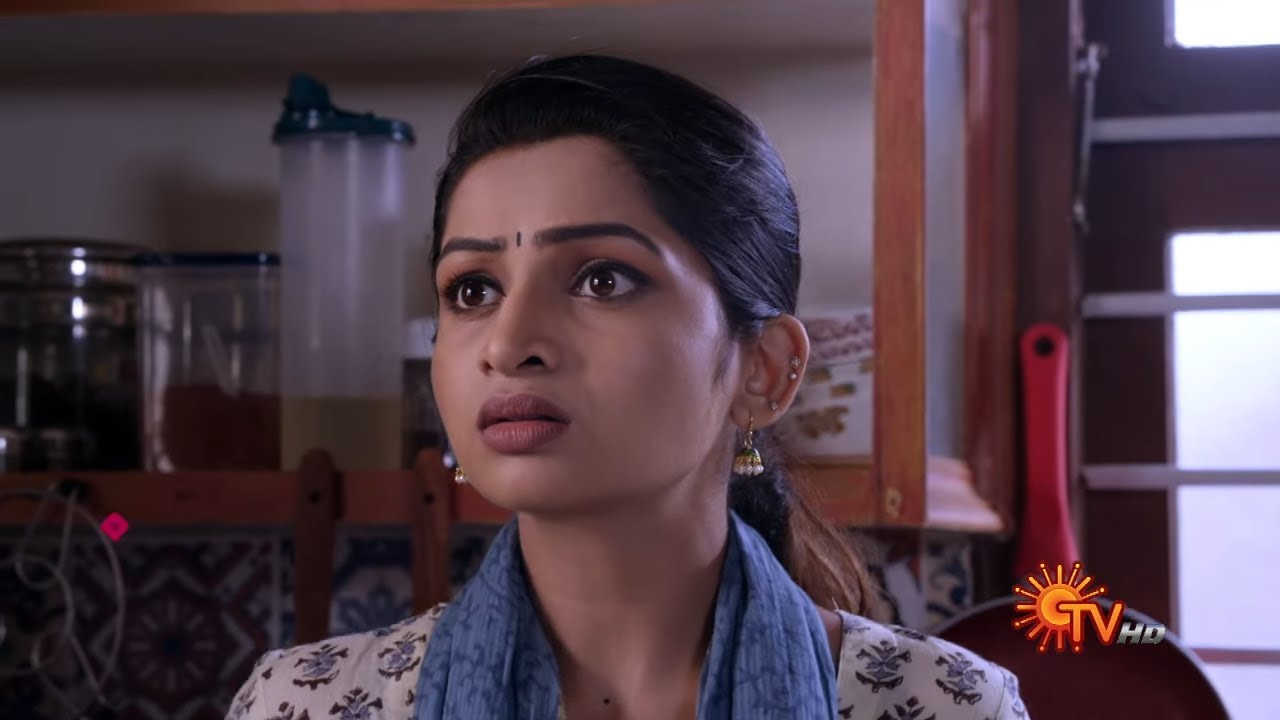 Lakshmi Stores - Episode 88 Revisit | Sun TV Serial | Tamil Serial ...