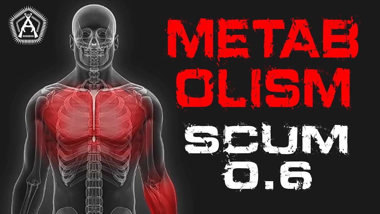 In-Depth Guide of FULLY REVAMPED Metabolism System - SCUM 0.6 - YouTube