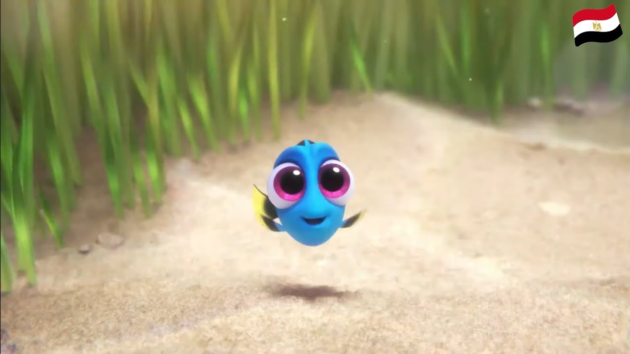 Finding Dory – Hi, I'm Dory! (Egyptian Arabic) - YouTube