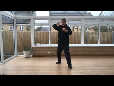 Tai Chi Yang 24 - From Fair Lady Works Shuttles to Fan through the Back