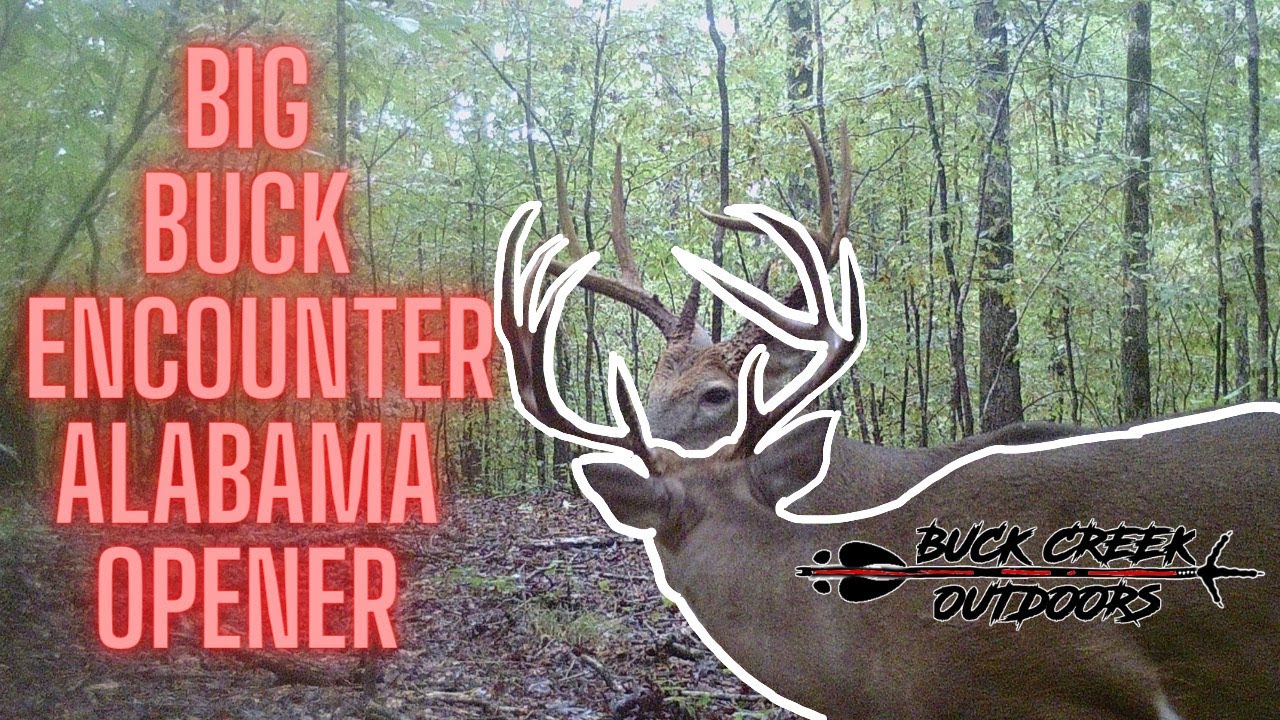 MISSED OPPORTUNITY ON A BIG ALABAMA BUCK OPENING WEEKEND - YouTube