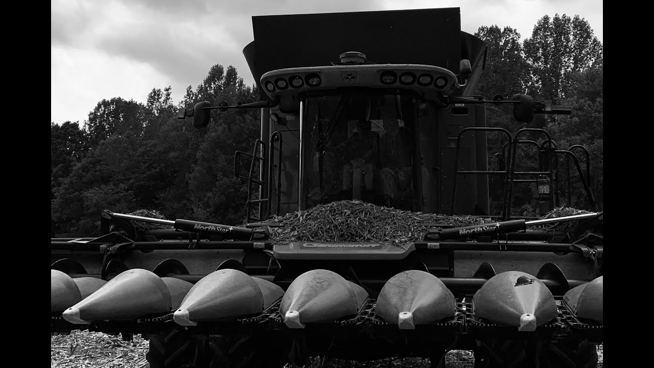 Tucker and Paw Paw Harvesting Corn - Fall 2019 - YouTube