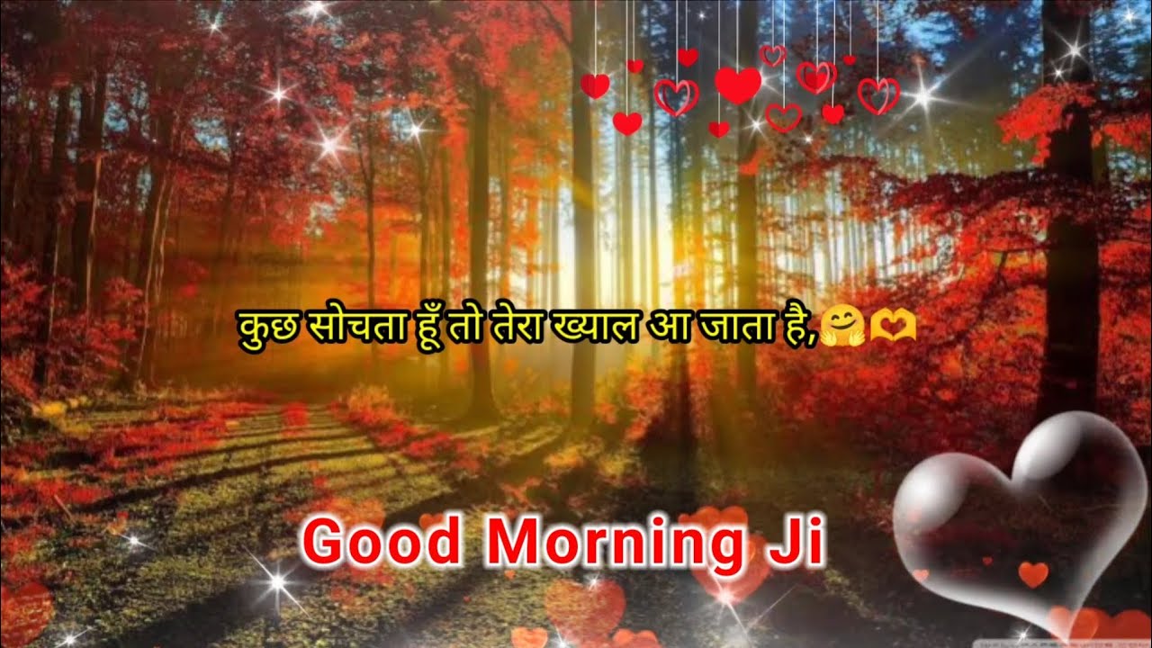 Good morning shayari video | Good morning ki shayari chahie | Good ...