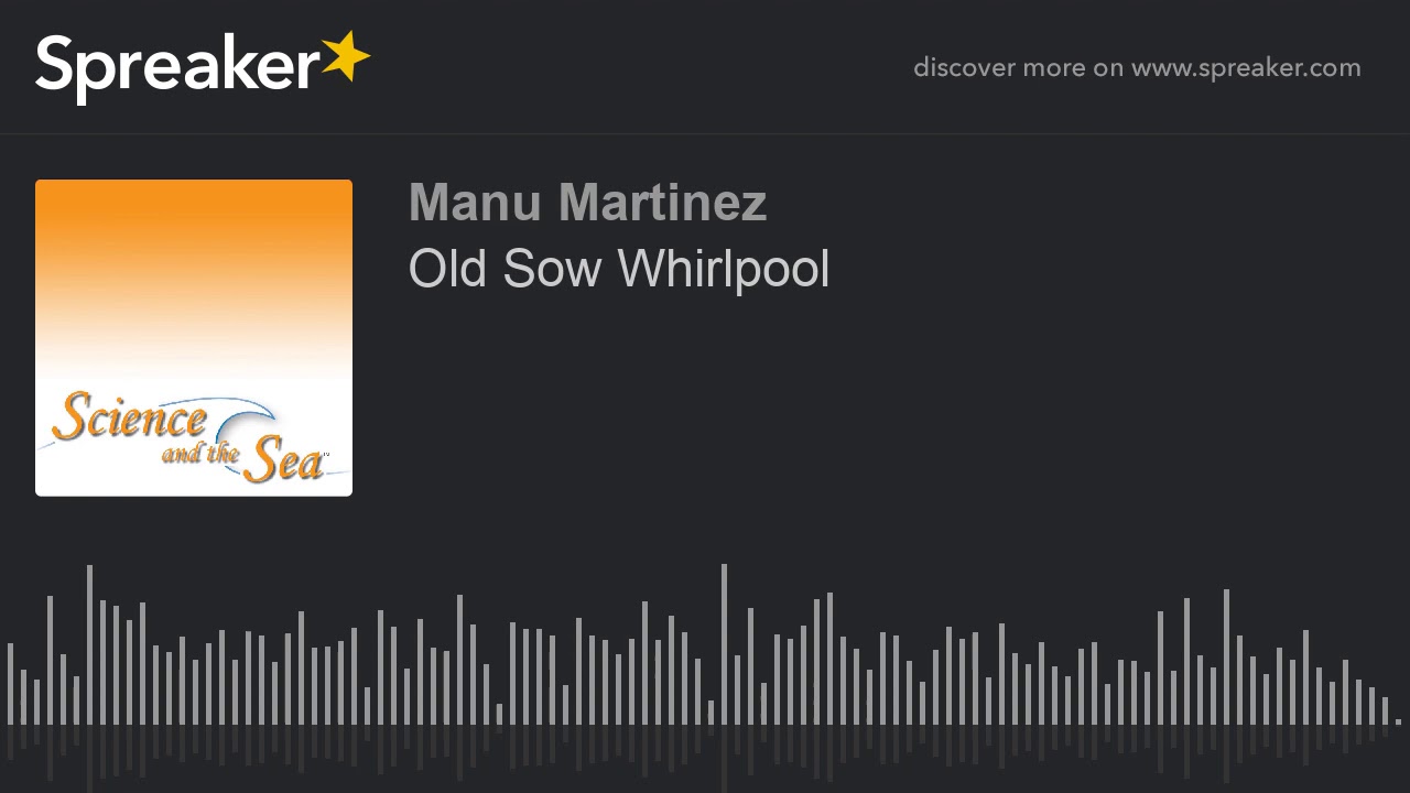 Old Sow Whirlpool Video