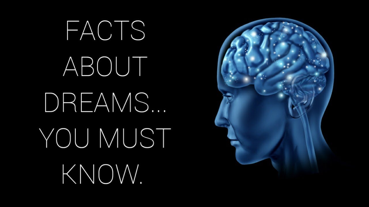 Psychological facts about dreams||20 interesting facts about dreaming ...