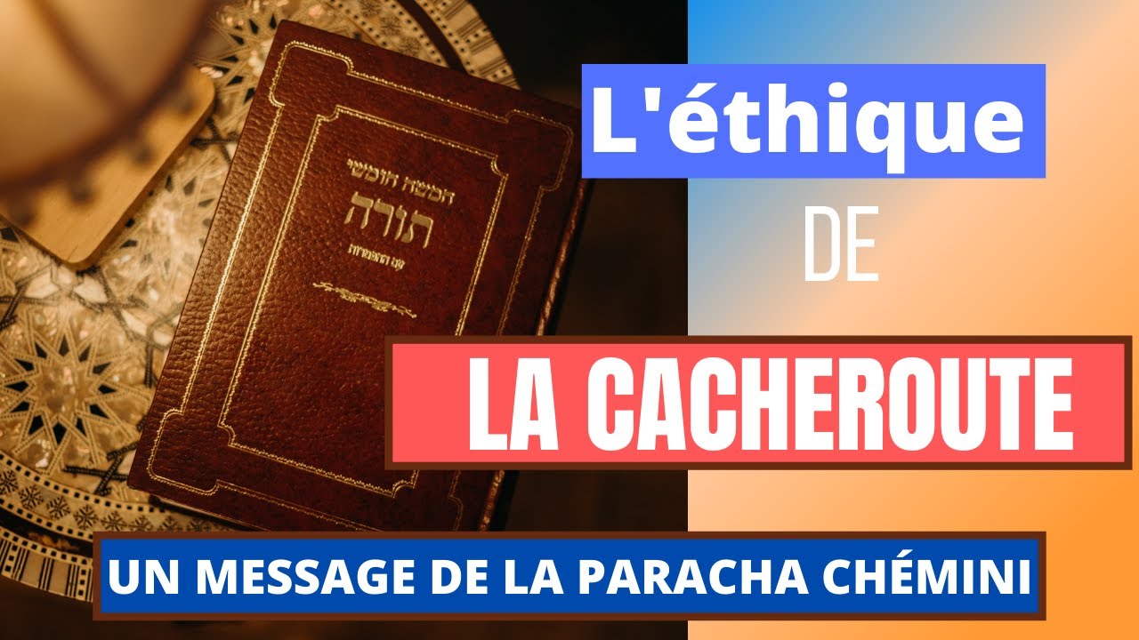 LA PARACHA #8 CHEMINI - L’ÉTHIQUE DE LA CACHEROUT - YouTube