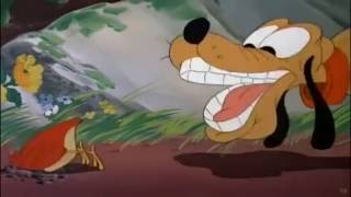 ღ Cartoon For Kids 2016 ★ Pluto Springtime For Pluto - YouTube