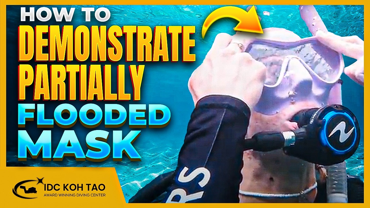 How to Demonstrate Partially Flooded Mask Clear - Confined Water Dive ...