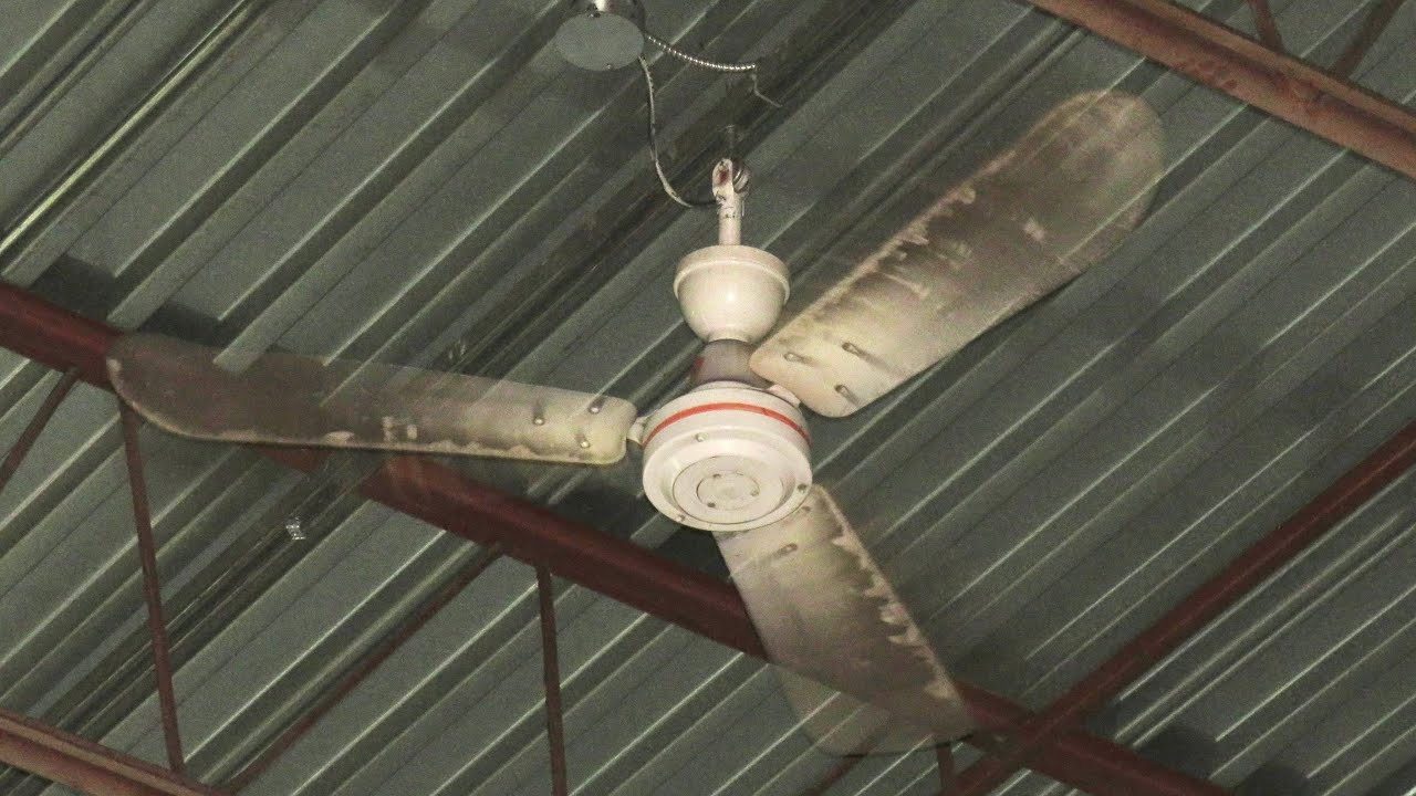 Industrial ceiling fans in an auto parts shop (High) - YouTube