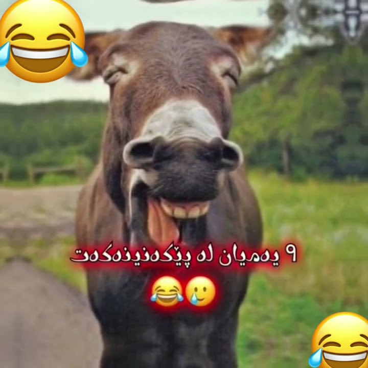 Kurdish meme - YouTube