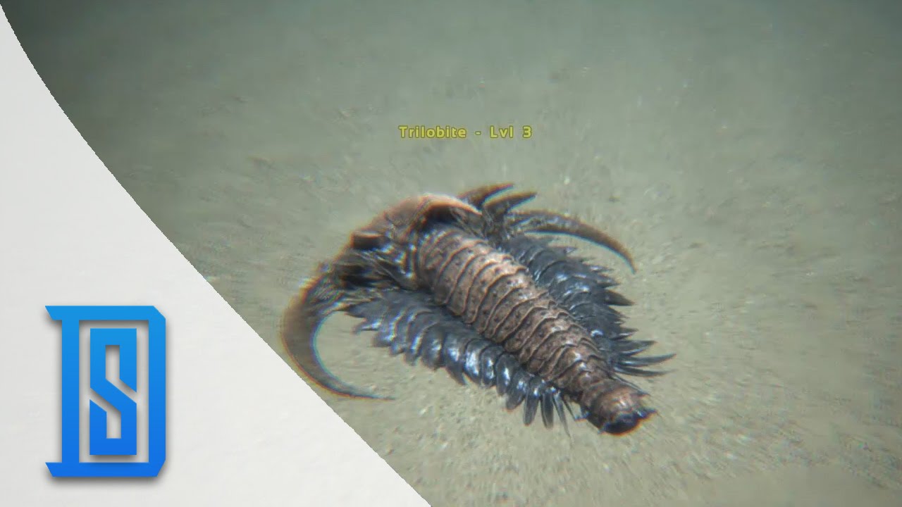 Ark Survival Evolved - Trilobites & Failure - YouTube