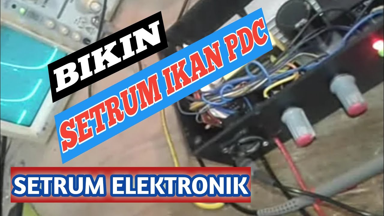 SETRUM IKAN PDC | TANPA PLATINA - YouTube