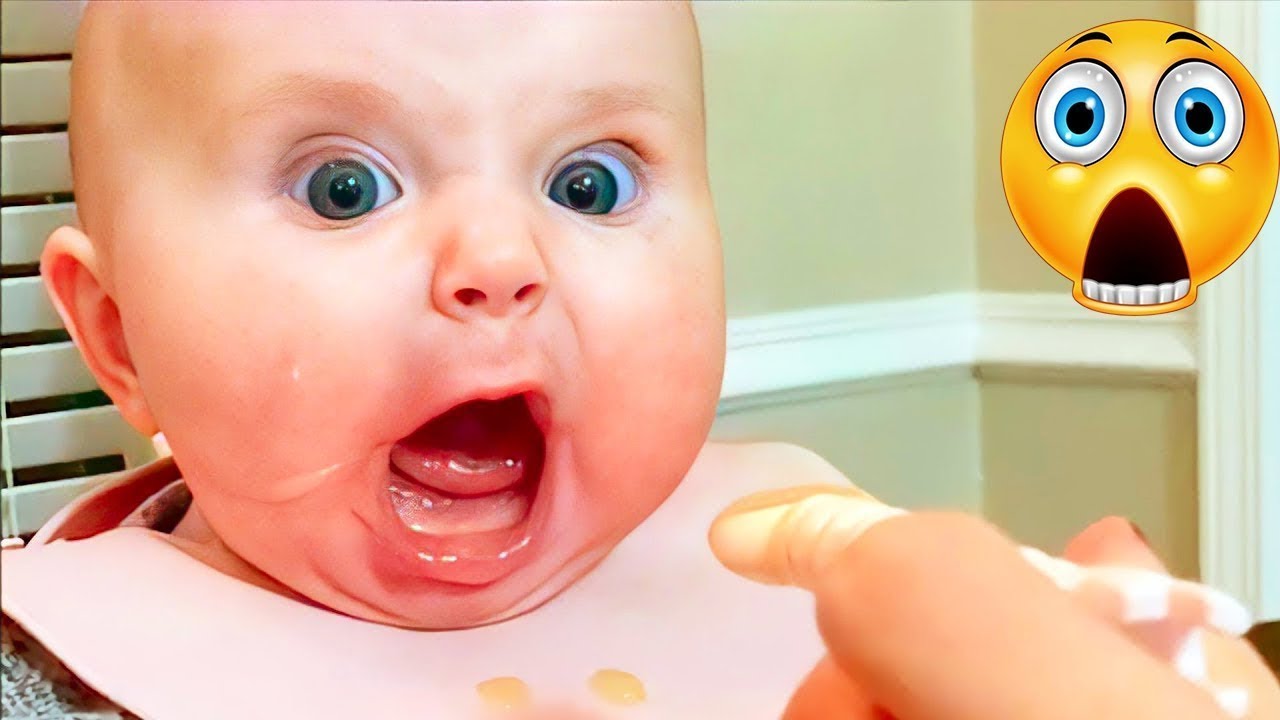 Babies Doing Funny Things – Cutest Baby Fails Ever! - YouTube
