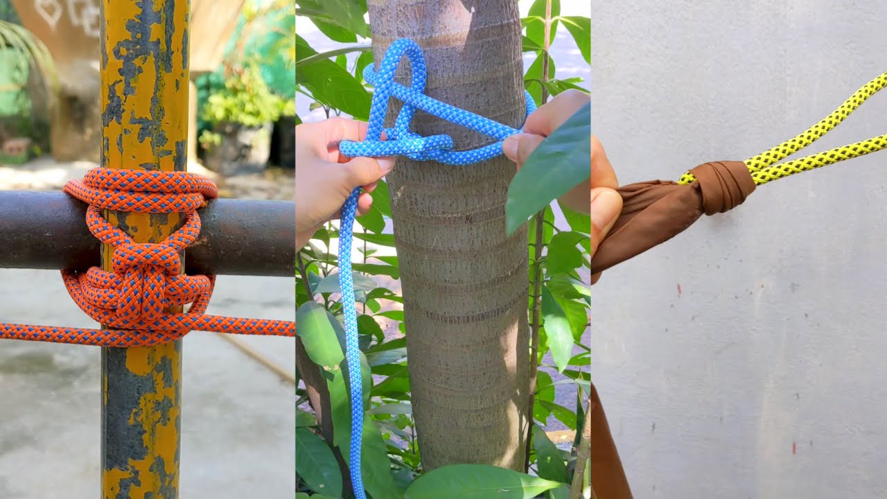 Best Rope Skills In Life You Need To Know/ Bowline knot/ Sheet Bend ...