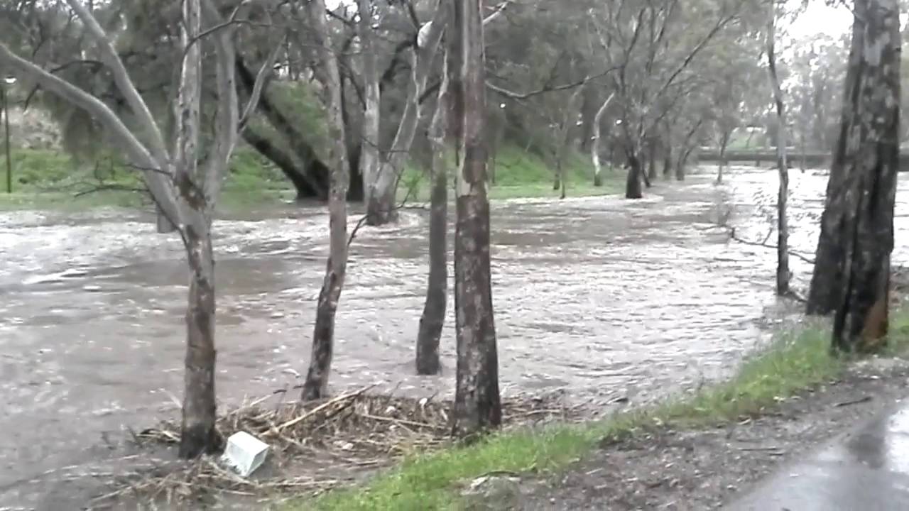 Adelaide Flood (14 Sep 2016) - YouTube