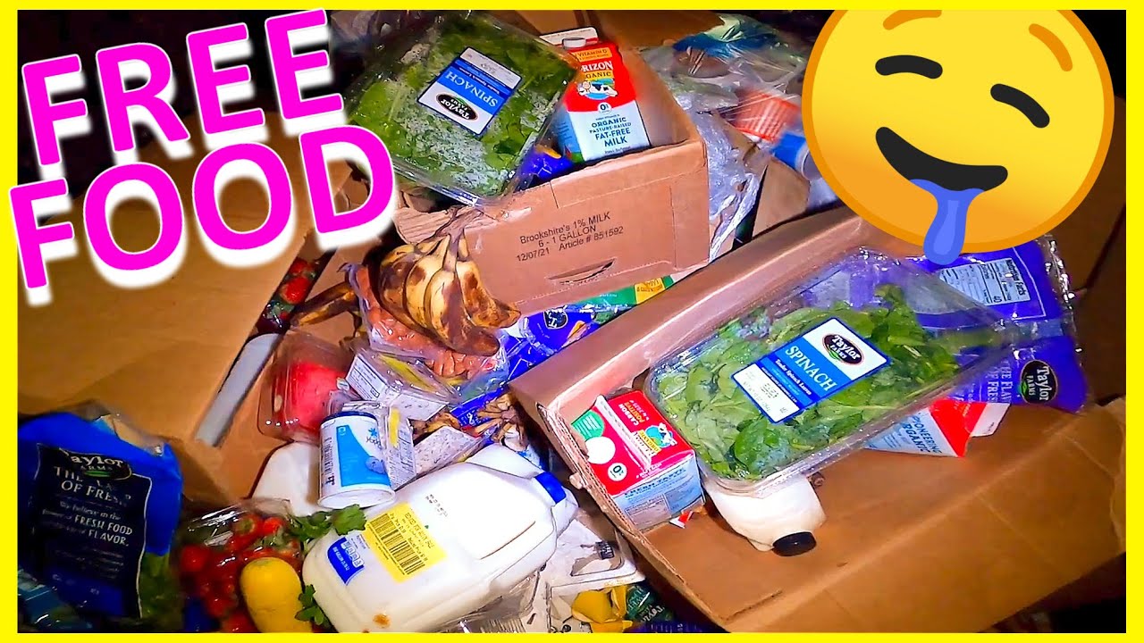 Dumpster Diving Fun HAPPY THANKSGIVING!!!! - YouTube